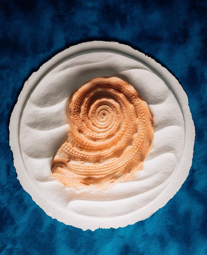 Oceanside Shell Coral - Water Scattering Biodegradable Cremation Urn ...